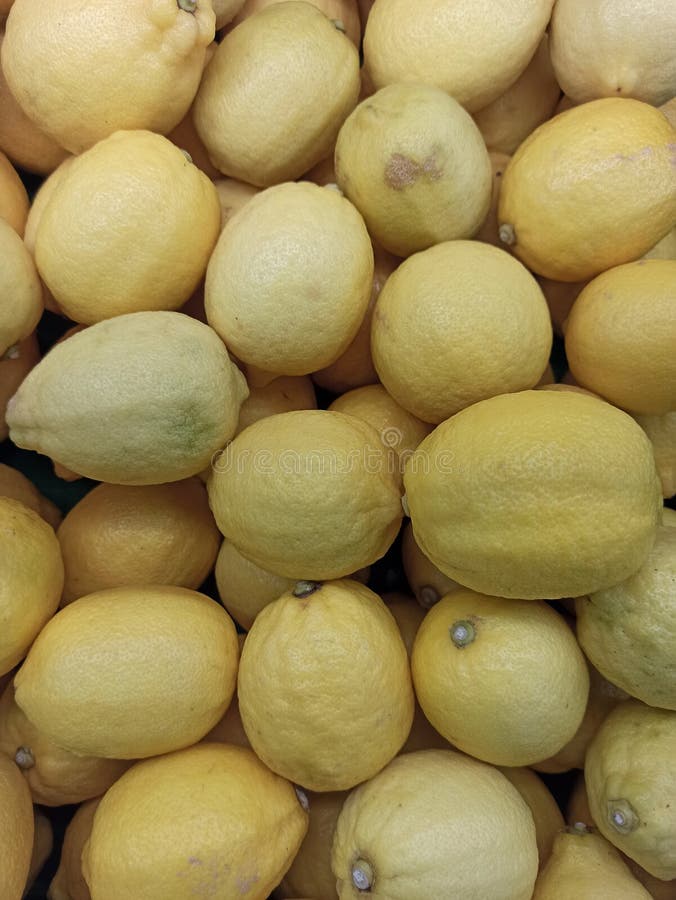 A lemon citrus stock photo. Image of strawberry, crop - 204655712