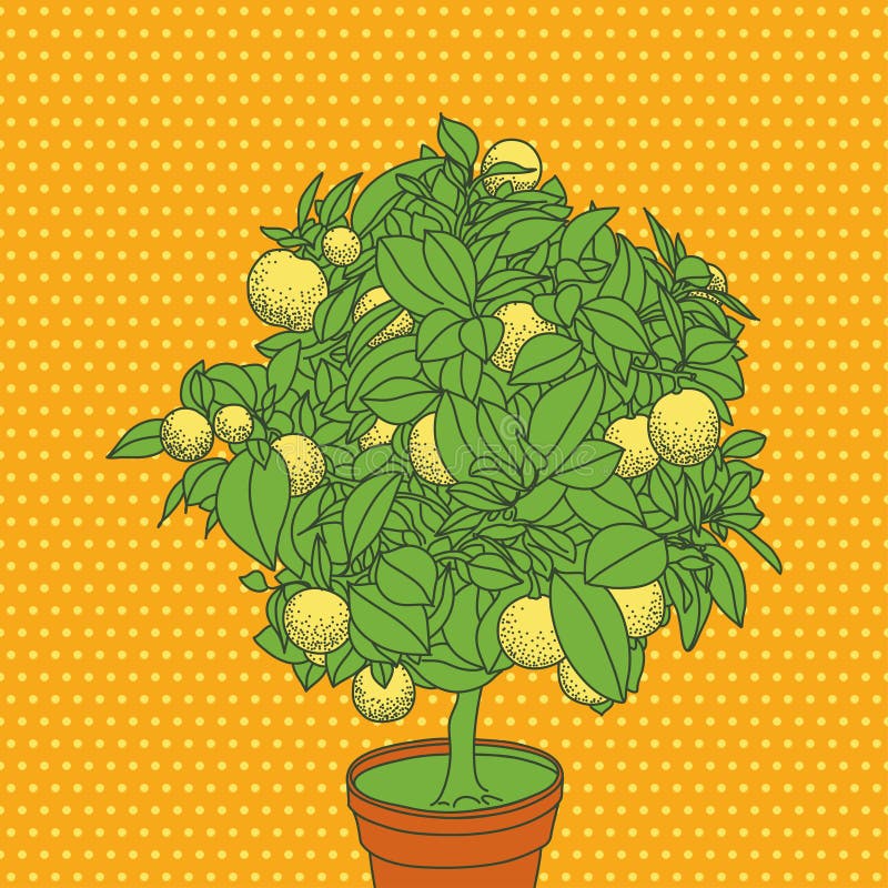 Citrus Treat Stock Illustrations – 787 Citrus Treat Stock Illustrations ...