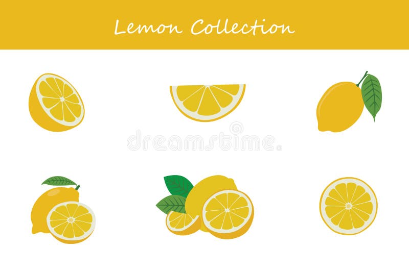 Lemon Collection. Lemon in Different Poses. Vector Illustration Stock ...