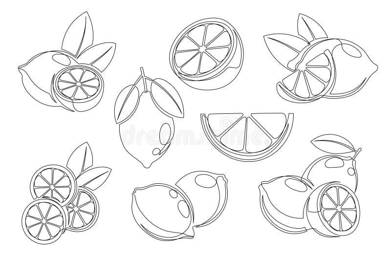 Lemon Continuous One Line Drawing Icon Set Stock Illustration ...