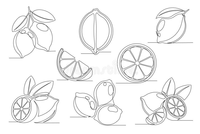 Lemon Continuous One Line Drawing Set Stock Illustration - Illustration ...