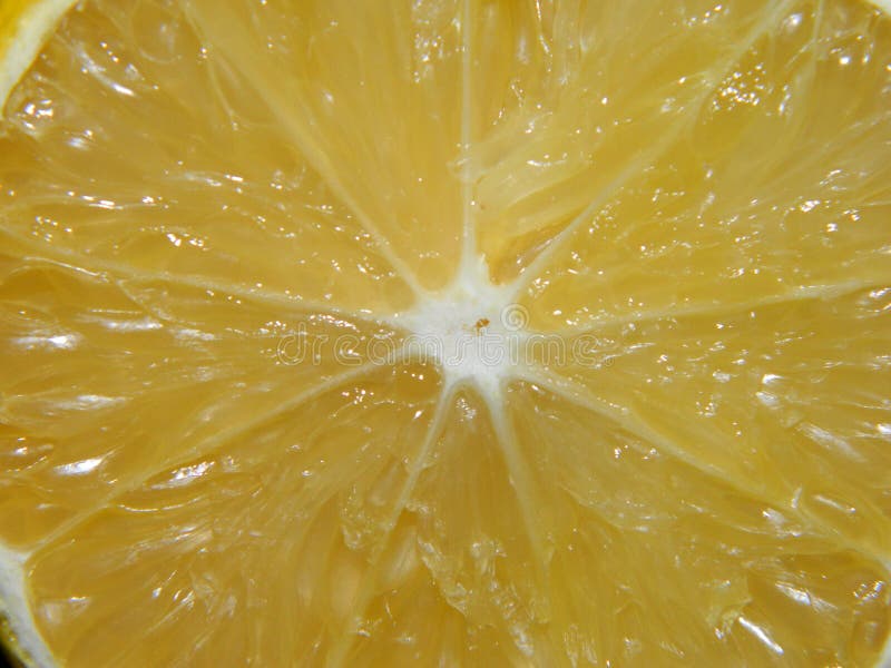 Lemon Sectional Stock Photos - Free & Royalty-Free Stock Photos from ...