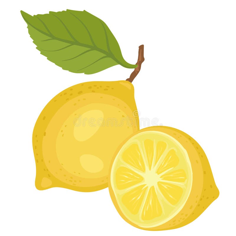 Lemon Design, Citrus Fruits Isolated Stock Illustration - Illustration ...