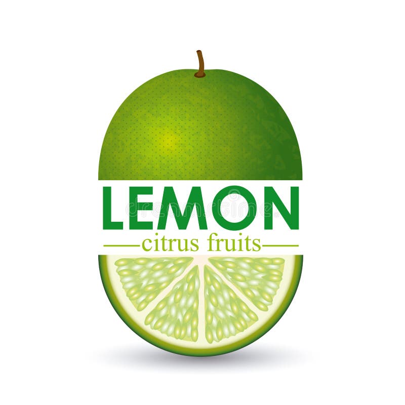 Lemon design stock vector. Illustration of nature, natural - 33419965