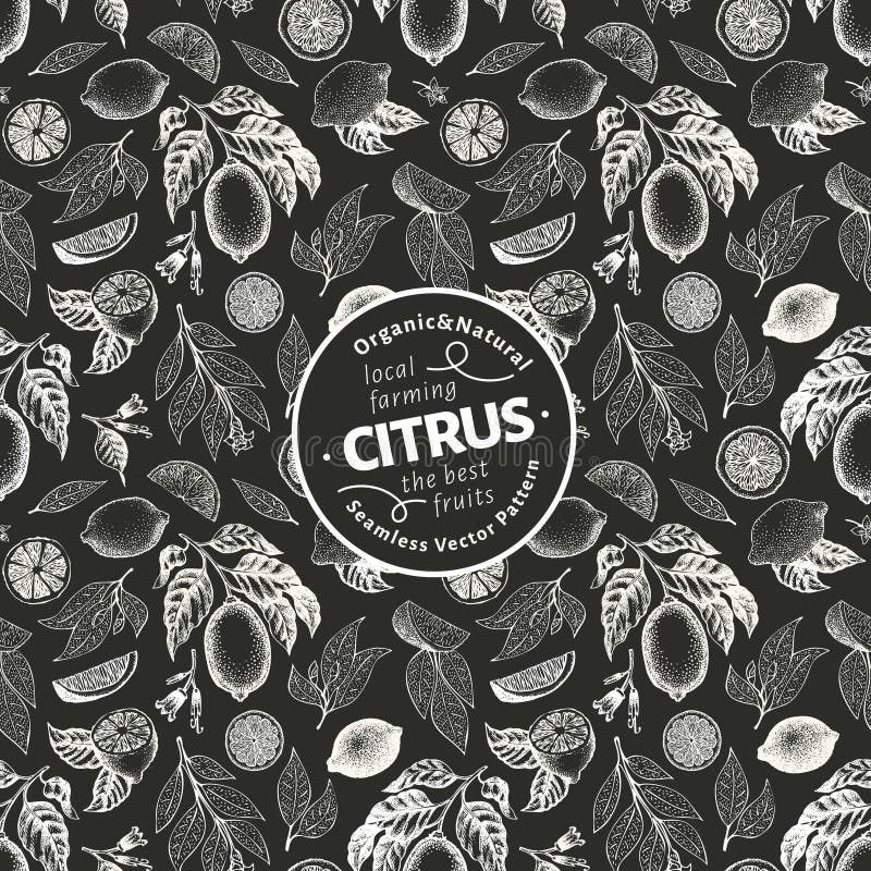 Lemon Branch Illustration. Hand Drawn Vector Fruit Illustration ...