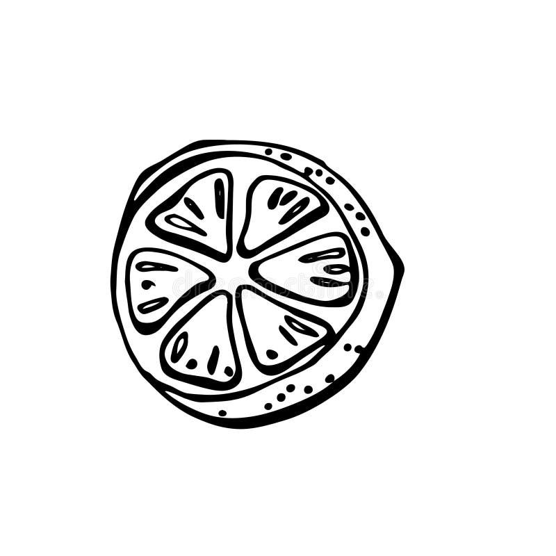 Lemon Doodle. Hand Drawn Illustrations. Isolated Design Elements Stock ...