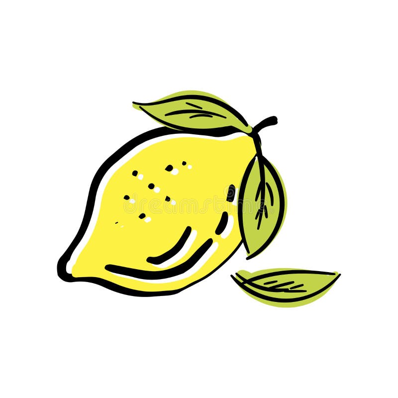 Lemon Doodle Illustration in Vector. Hand Drawn Stock Vector ...