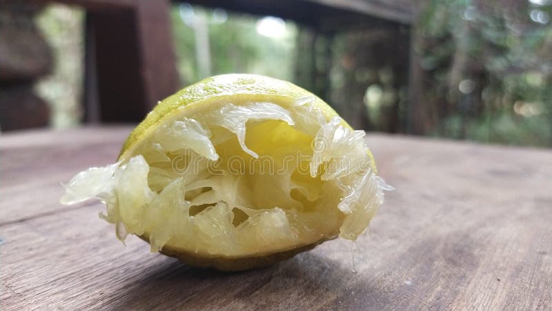 Lemon Dragon Lifestyle Vegetable Stock Image - Image of vegetable ...