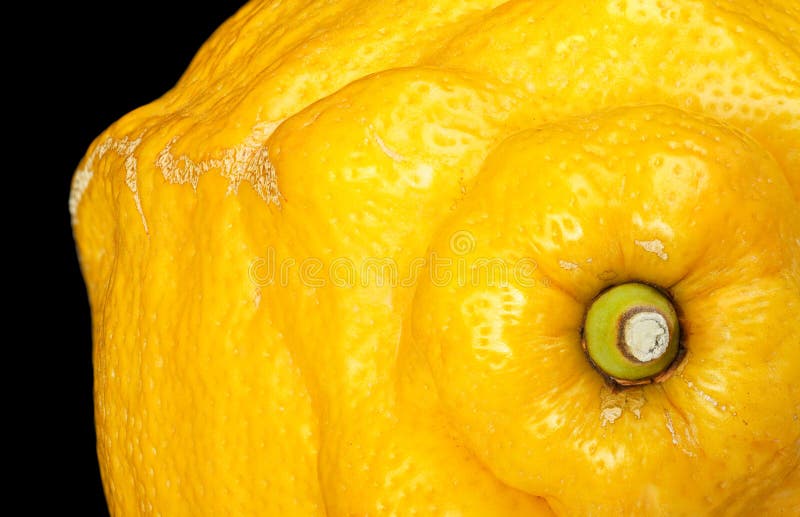 Lemon stock photo. Image of dieting, yellow, black, ripe - 53145176