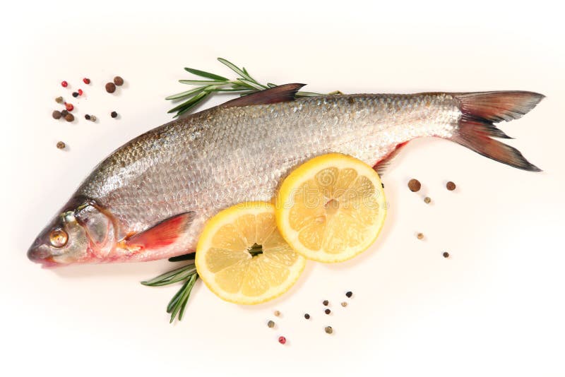 Lemon and fish stock photo. Image of fish, table, meal - 68760026
