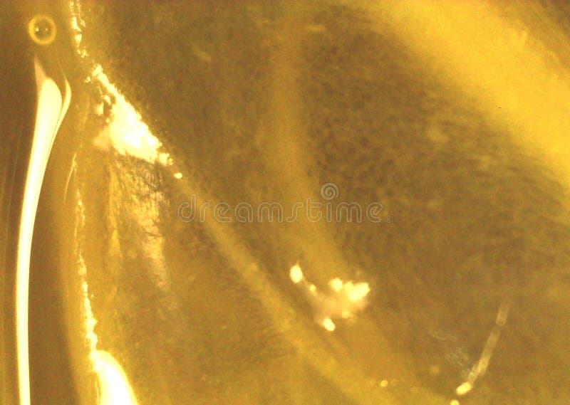 Lemon, Food. Image Under the Microscope, Micro Photography. Science ...