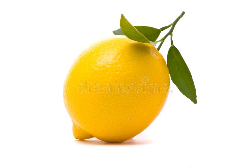 Fresh lemon stock photo. Image of citrus, lemon, shiny - 35838806
