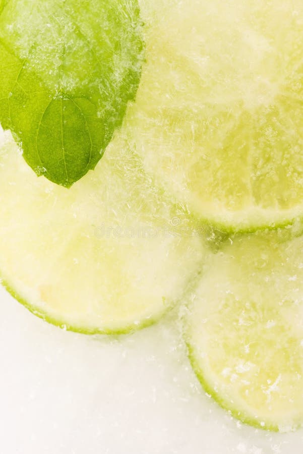 Lemon in Ice Cube stock photo. Image of food, sharp, fruit - 1231792