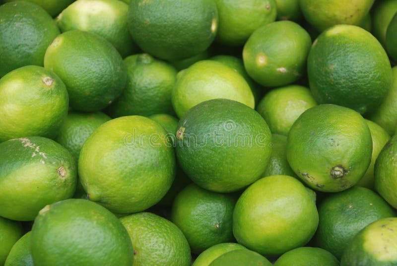 Lemon fruit stock photo. Image of tropical, lemon, fruit - 10944174