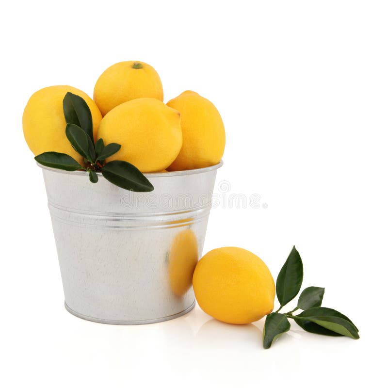 Lemon Fruit stock photo. Image of antioxidant, lemons - 20851086