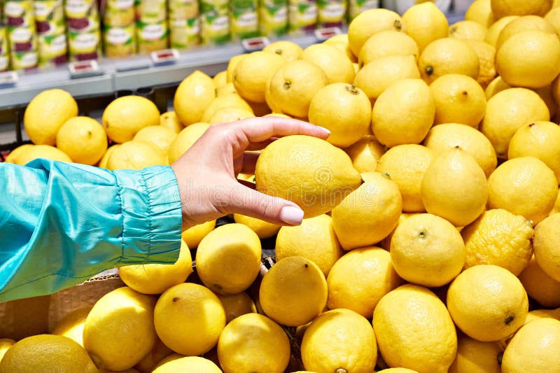 Lemon in hand stock photo. Image of yellow, choice, vitamin - 316500904