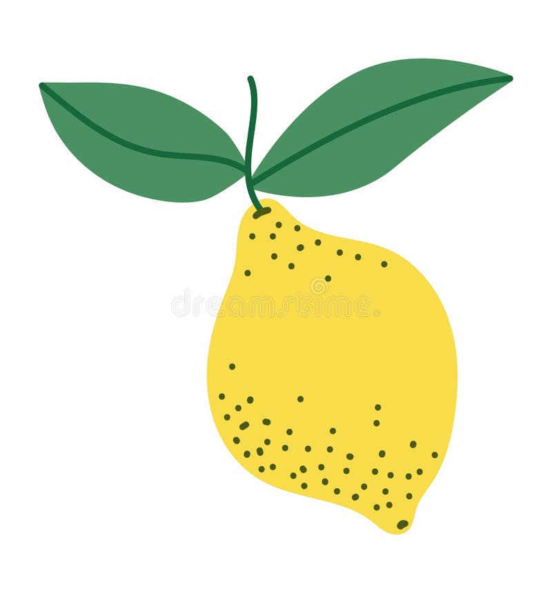 Lemon fruit design stock vector. Illustration of lime - 253038884