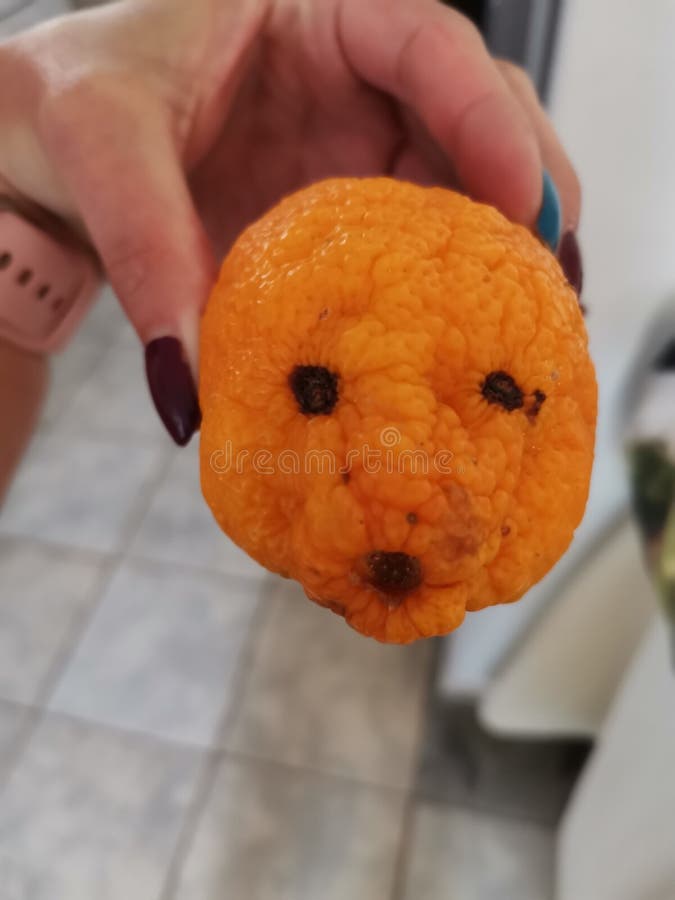 Lemon Fruit with Eyes and Mouth Impression Stock Photo - Image of eyes ...