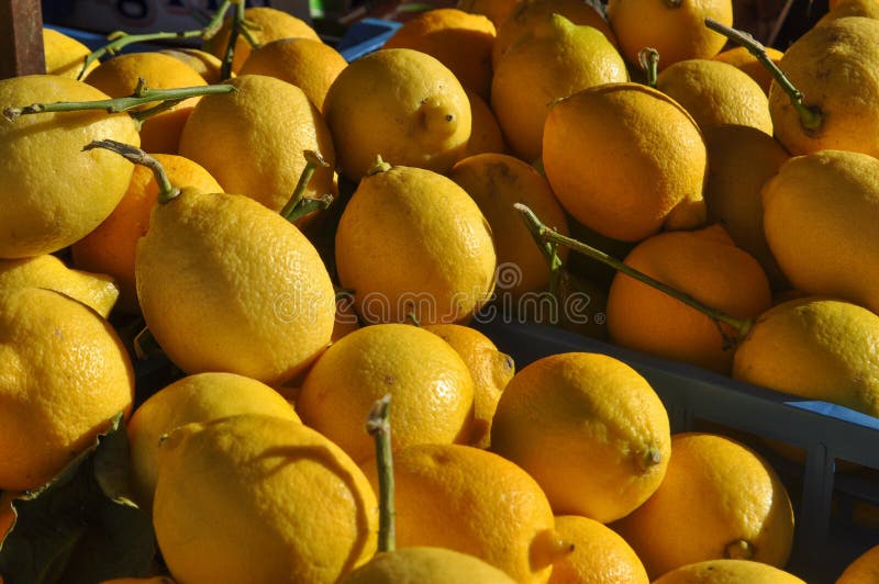 Lemon fruit food stock photo. Image of limon, fruit - 108478378