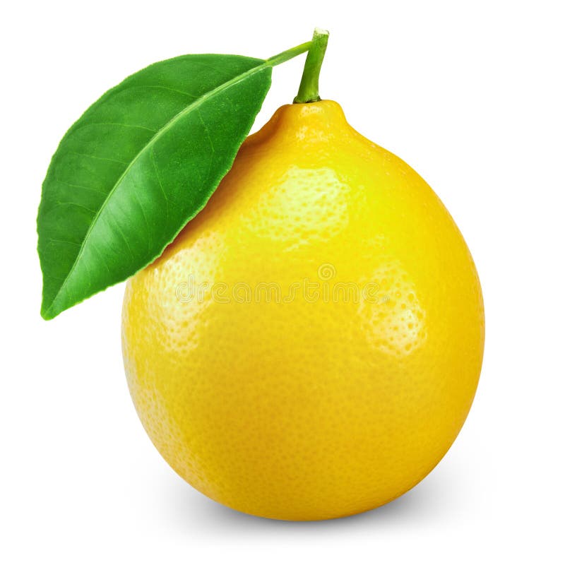Lemon fruit leaf stock image. Image of seasoning, portion - 108624903