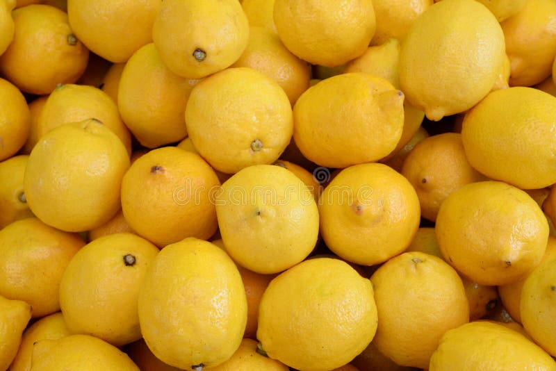Lemon stock image. Image of fruited, mesh, market, fruit - 59837831