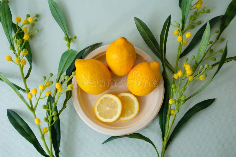 Lemon fruits with greenery stock photo. Image of vitamin - 184535544