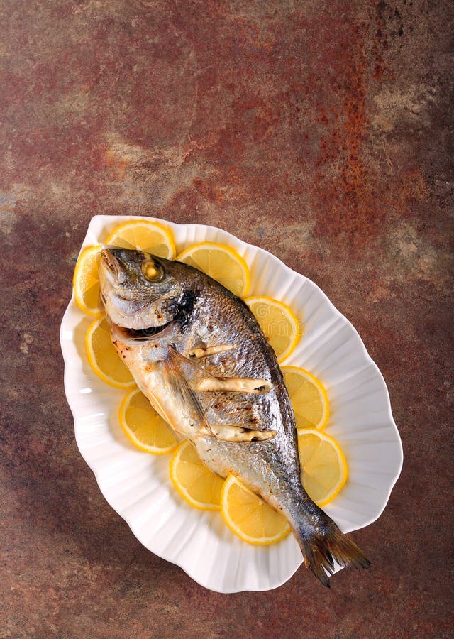 Lemon gilt-head bream fish stock photo. Image of dorada - 216431496