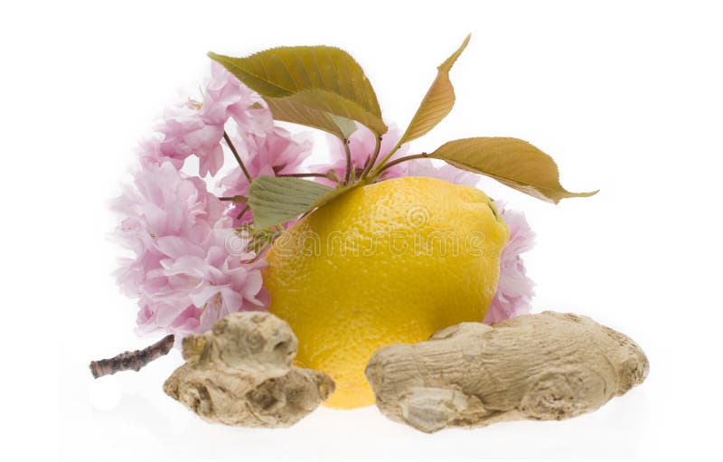 Lemon and Ginger Isolated on White Background Stock Photo - Image of ...