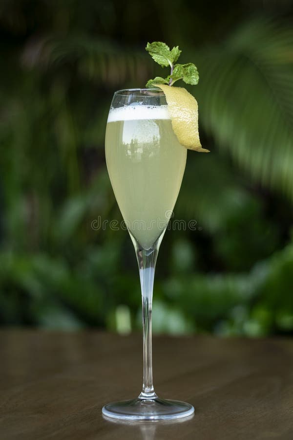 Lemon and Grapefruit Citrus Spritzer Cocktail Stock Photo - Image of ...