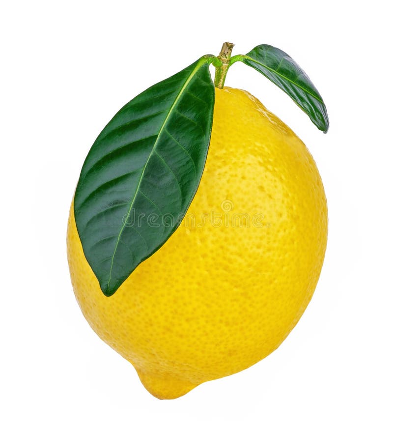 Lemon with Green Leaf Isolated on White. Stock Photo - Image of citron ...