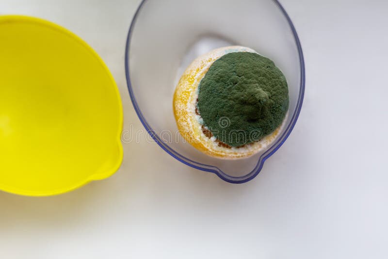 Lemon with Green and White Mold Stock Image - Image of decomposing ...