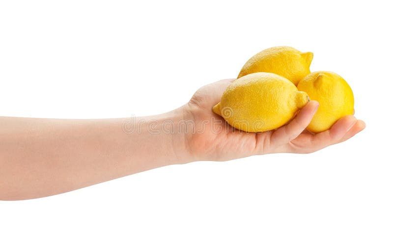 Lemon in hand stock image. Image of single, fingers - 198965063