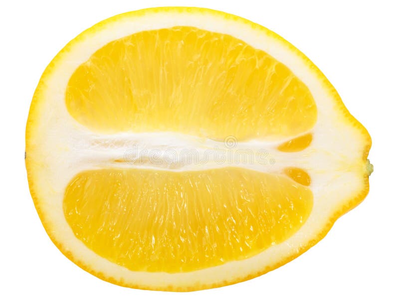 Half of lemon slice stock image. Image of fresh, ripe - 94034483