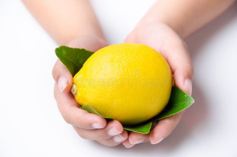Lemon stock photo. Image of fruit, summer, giving, lemon - 58240814