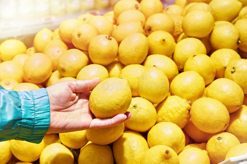 Lemon in hand in market stock photo. Image of grocery - 336175864