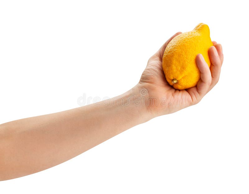 Lemon in hand stock photo. Image of antioxidant, path - 184359876