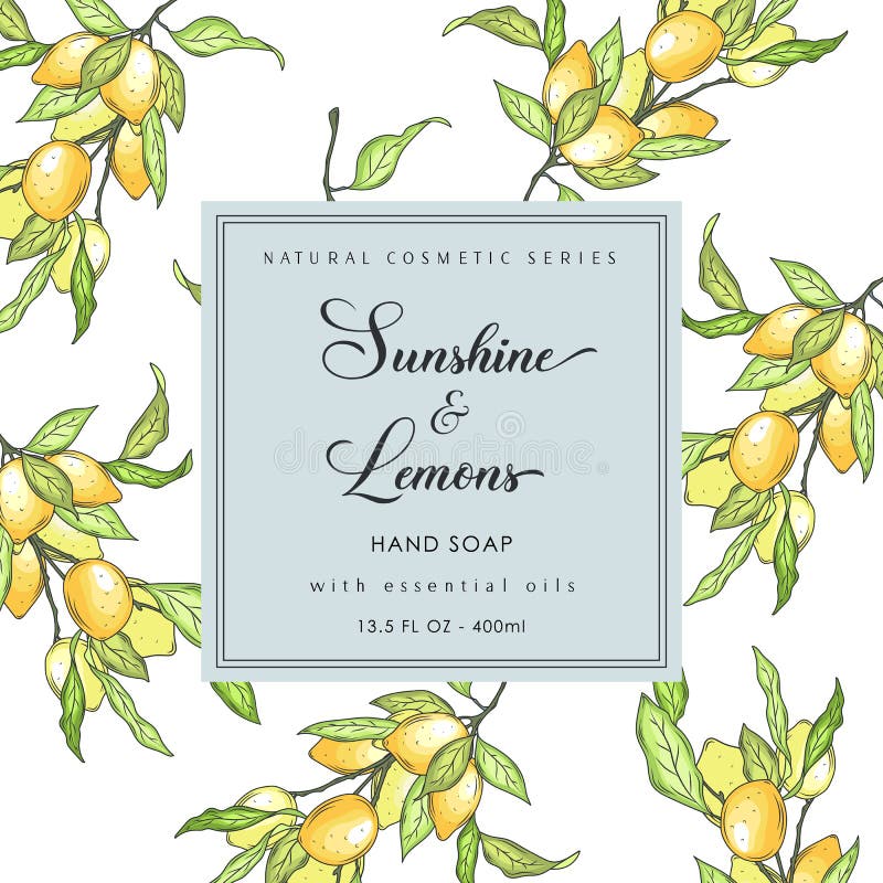 Lemon Hand Soap Cardboard Box. Abstract Vector Wrapped Paper. Stock ...