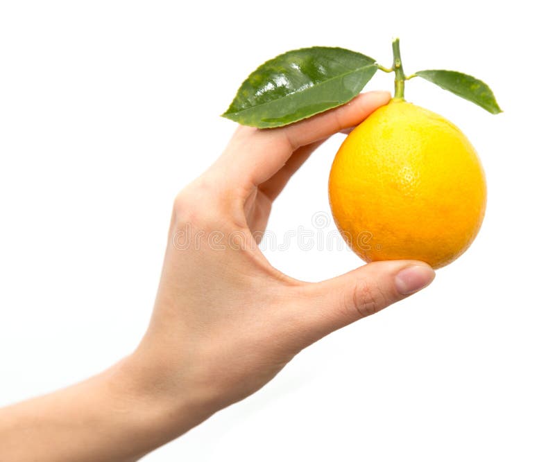 Lemon in Hand on White Background Stock Image - Image of sour, healthy ...