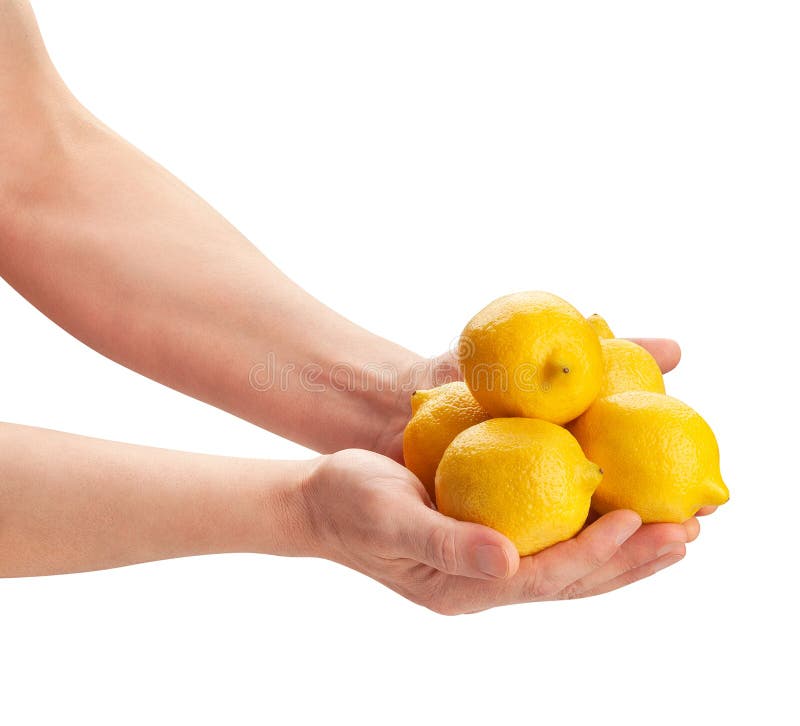Lemon in hand stock image. Image of single, fingers - 198965063