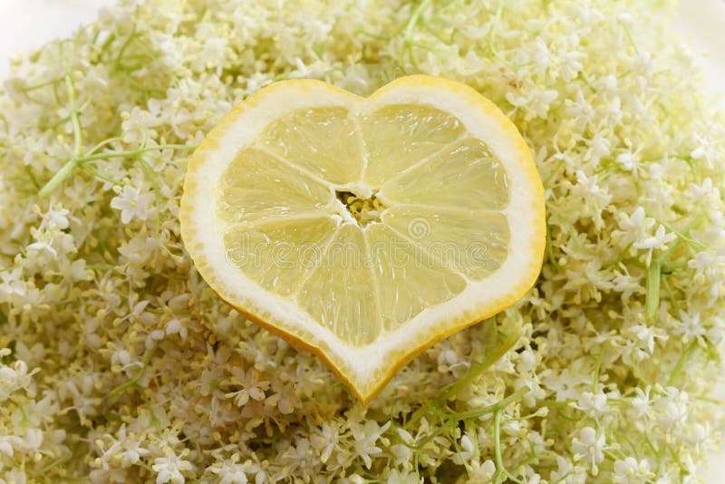 Lemon heart stock image. Image of citrus, juice, lemon - 42235063