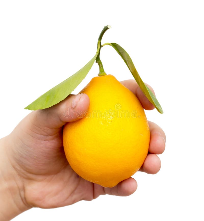 Hand squeezing lemon stock image. Image of drop, fruit - 14634537
