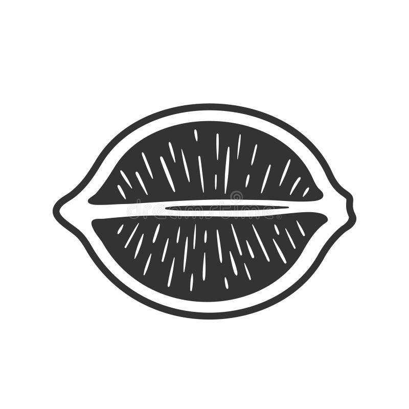 Lemon Icons Isolated on White Background Stock Vector - Illustration of ...