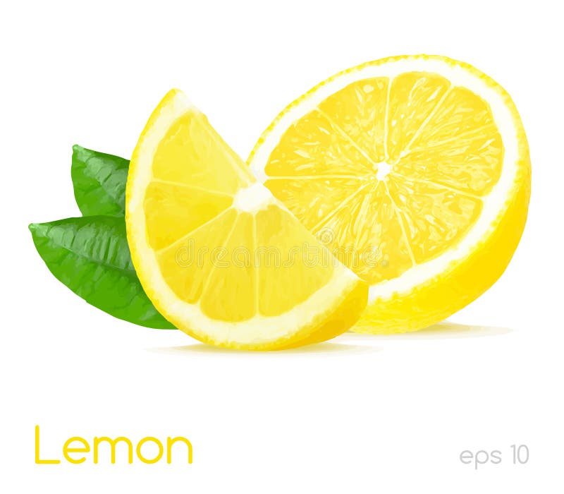 Lemon illustration stock image. Image of design, ripe - 56704621