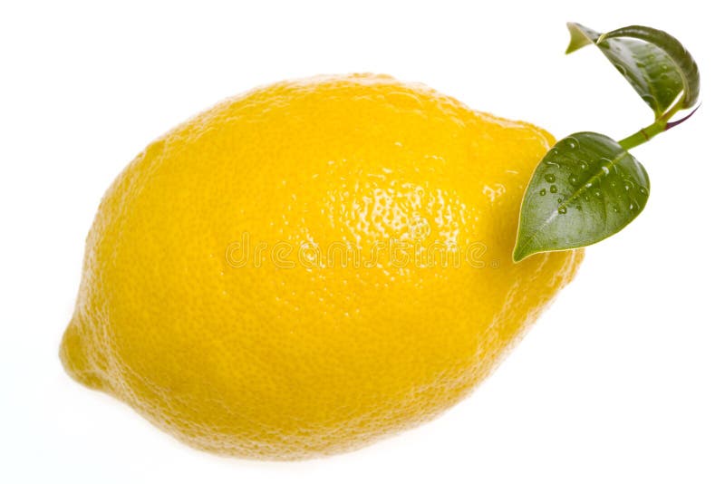 Lemon on white stock image. Image of fruit, cool, ingredient - 4985801