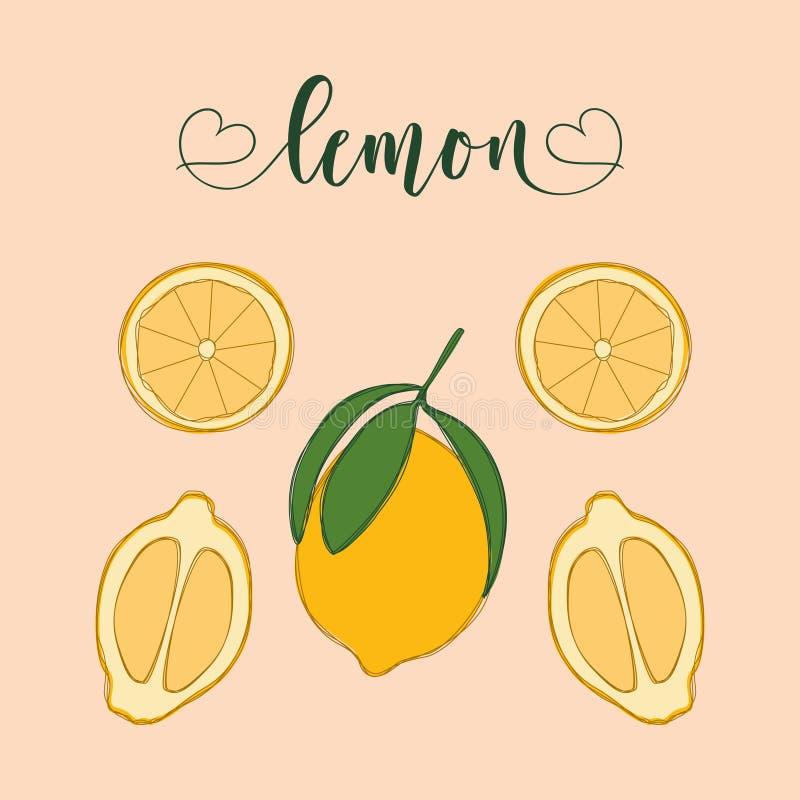 Lemon Isolated Objects. Hand-drawn Elements Stock Vector - Illustration ...