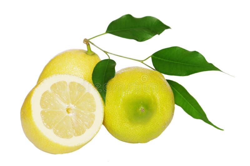 Lemon with leaf stock image. Image of healthy, organic - 19992533