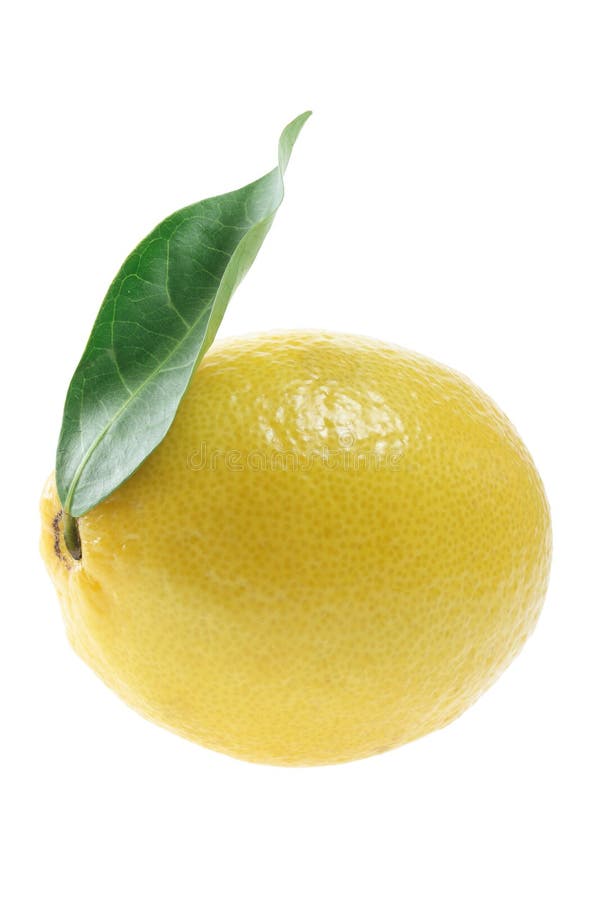 Lemon with Leaf stock photo. Image of leaf, still, citrus - 20136058