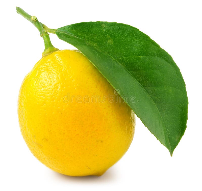 Lemon with Leaf Isolated on White Stock Photo - Image of copyspace ...