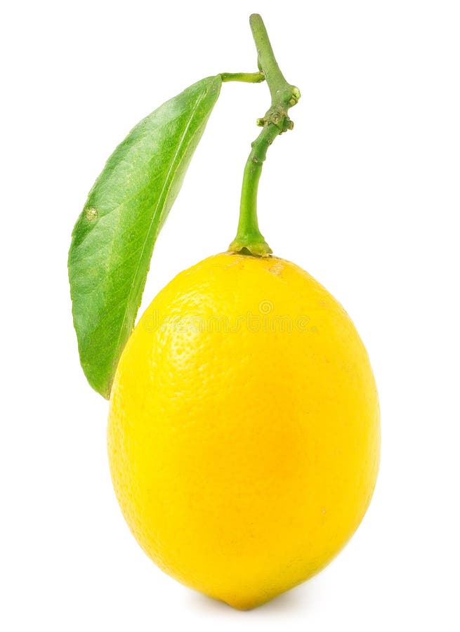 Lemon with Leaf Isolated on White Stock Image - Image of lime, natural ...