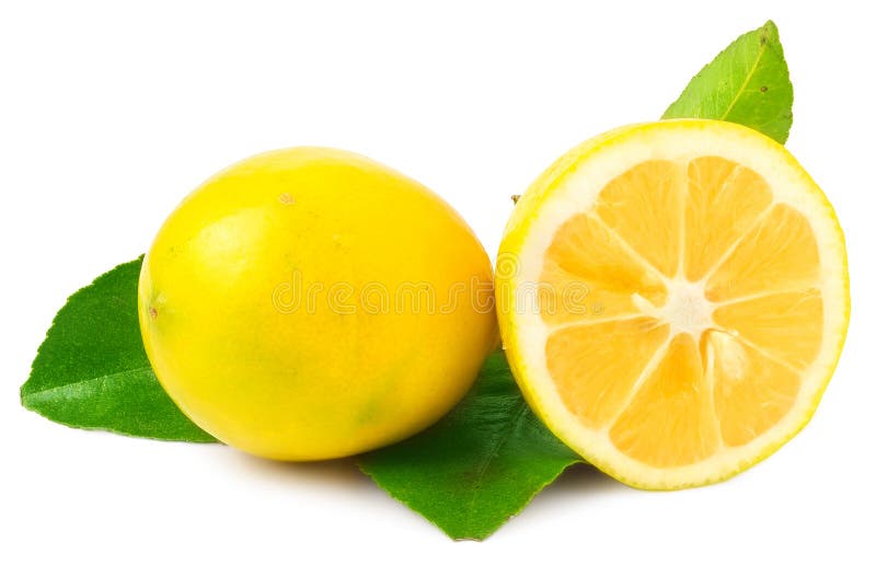 Lemon with Leaf Isolated on White Stock Image - Image of leaf, single ...